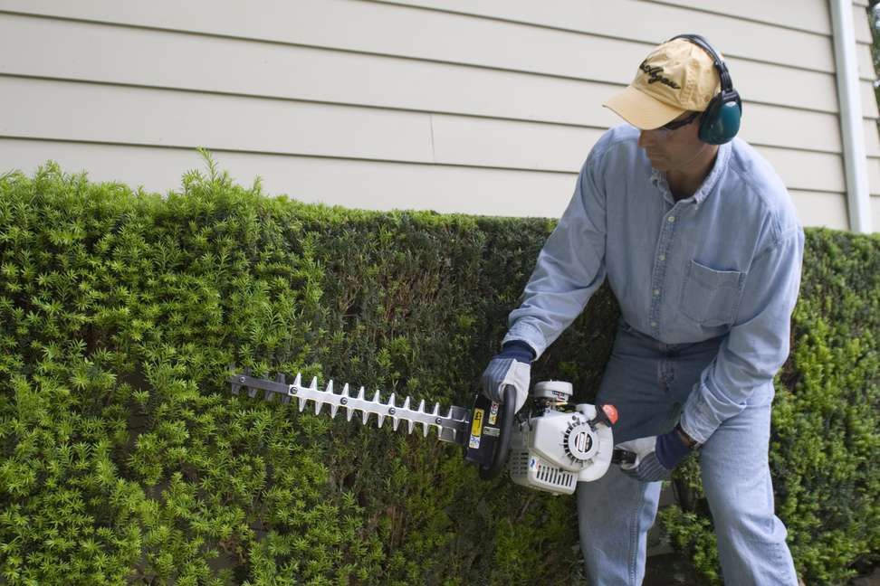 Discover Your Customer’s Backyarding Personality Type to Create the ...