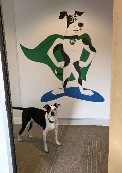 OPEI Annual Meeting Highlights the Big Changes Coming – for Everyone